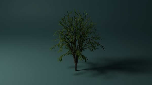 3D beautiful tree model - TurboSquid 1486113
