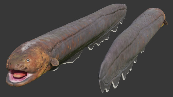 3D electric eel - TurboSquid 1486494