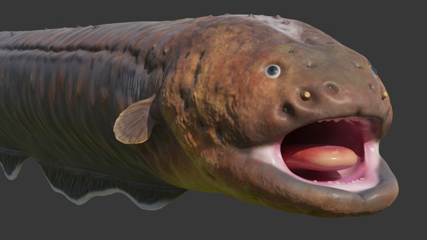 3D electric eel - TurboSquid 1486494