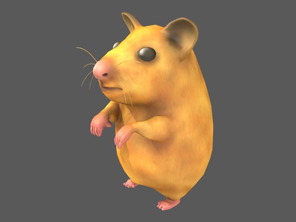 Hamster 3D Models for Download | TurboSquid