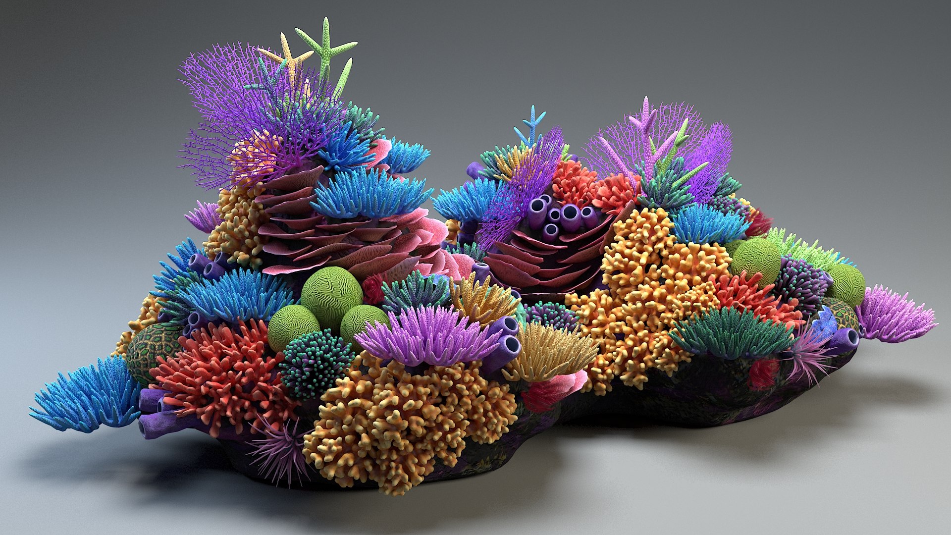 Coral reef 03 3D - TurboSquid 1487117