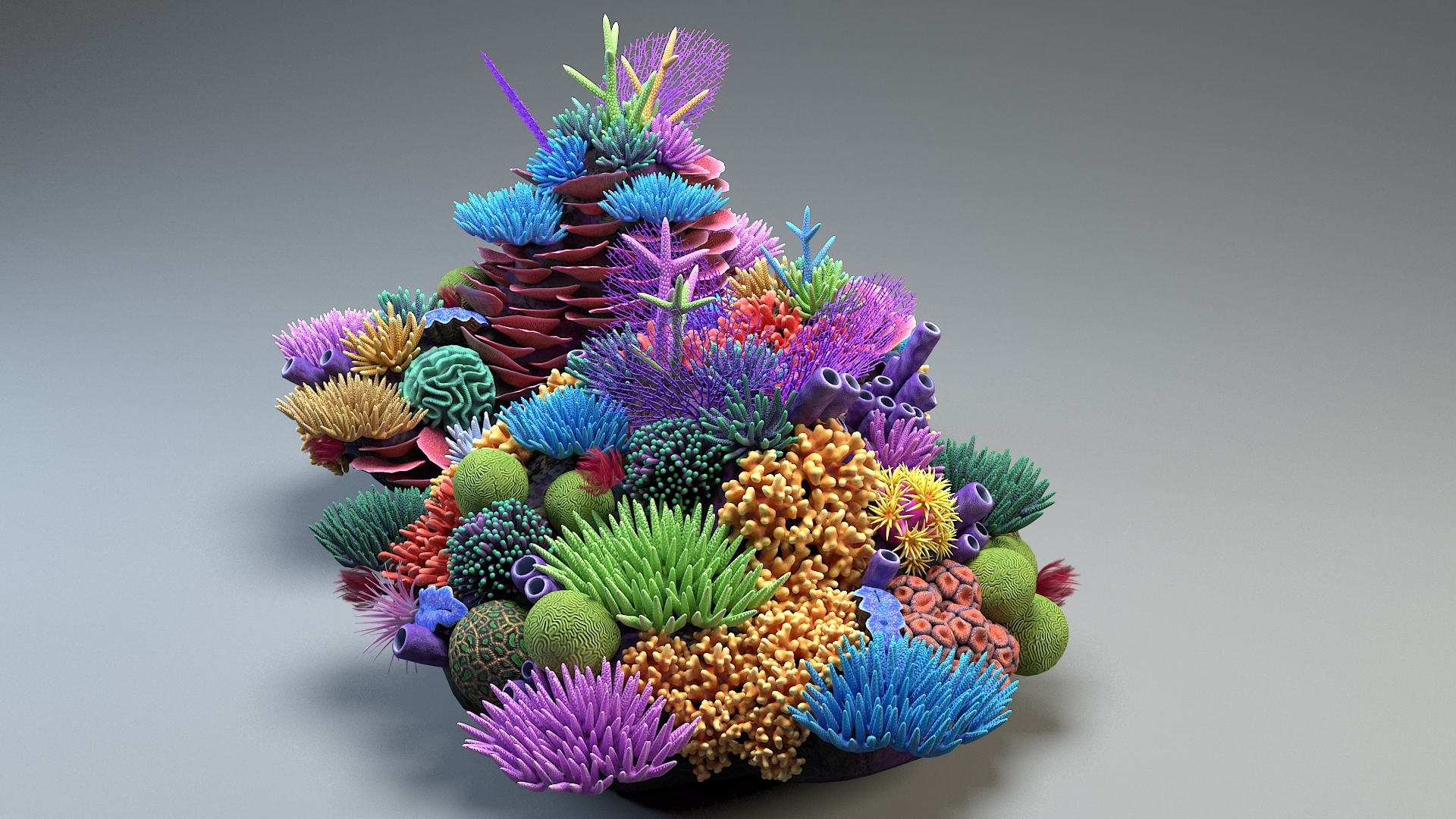 Coral reef 03 3D - TurboSquid 1487117