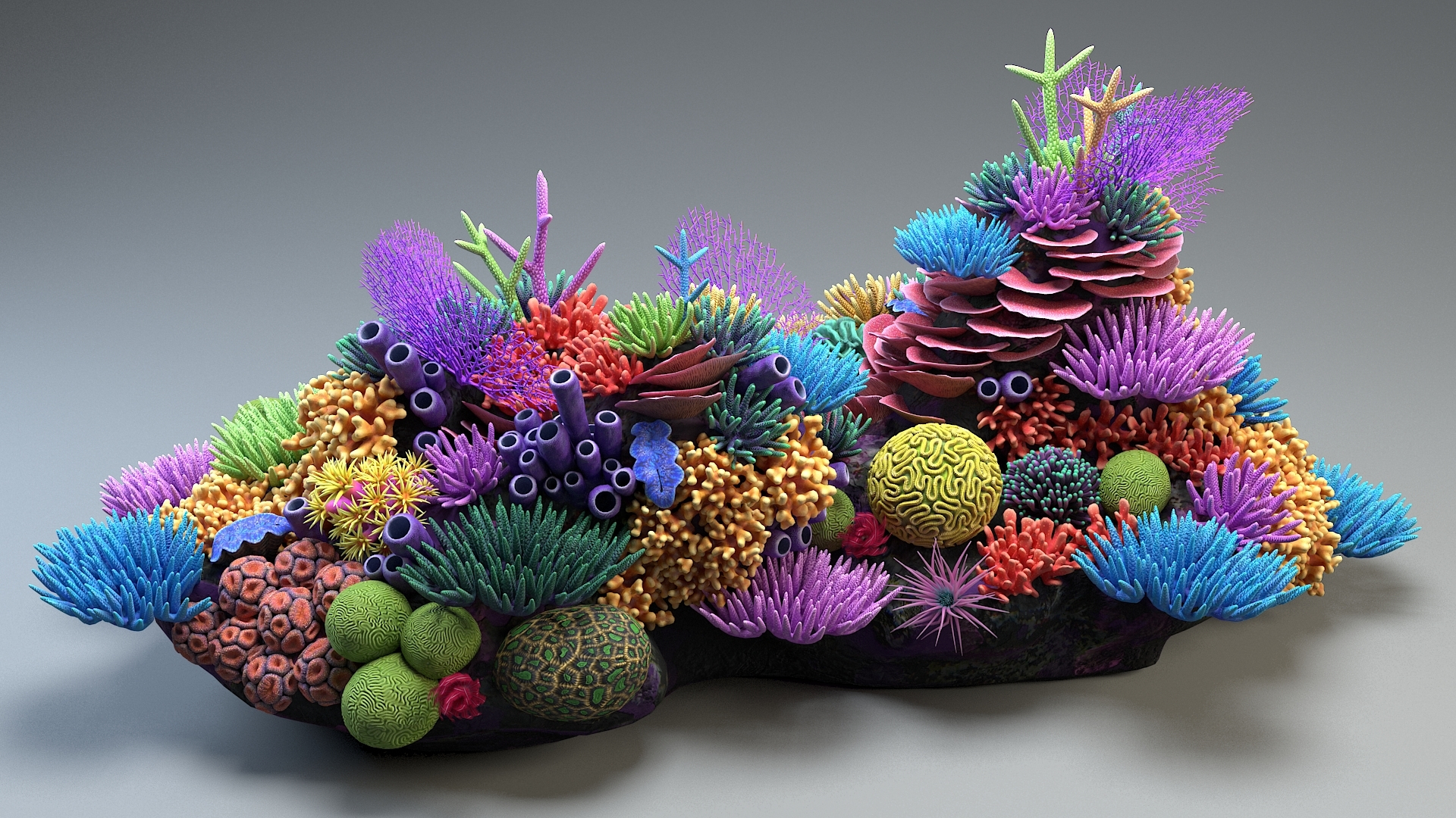 Coral reef 03 3D - TurboSquid 1487117