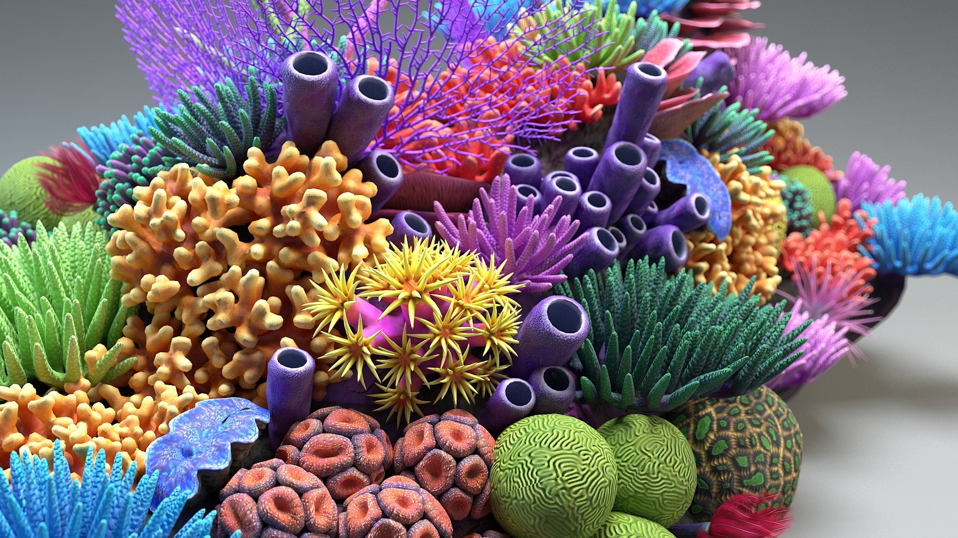 Coral reef 03 3D - TurboSquid 1487117