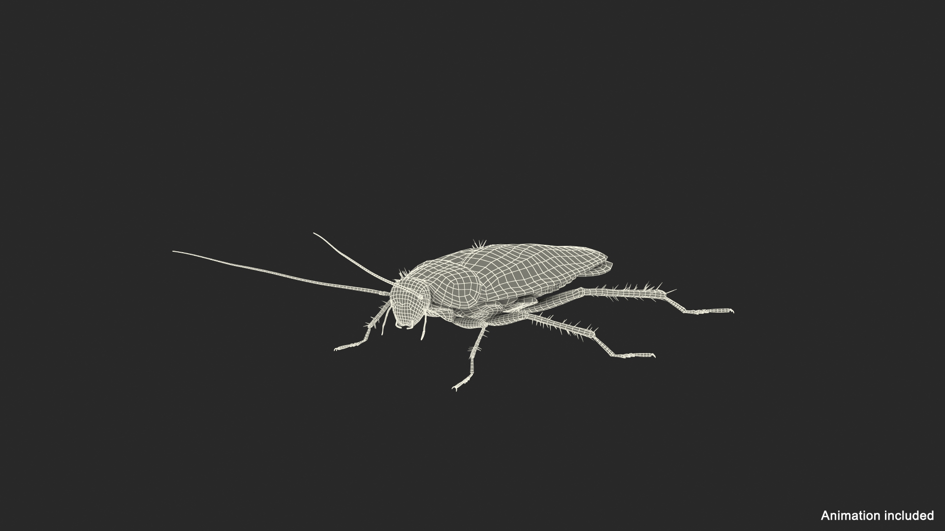 Cockroach running rigged animation 3D model - TurboSquid 1487214