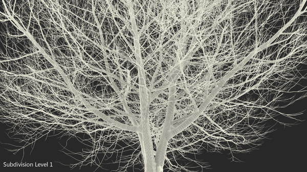 White ash winter 3D model - TurboSquid 1487935