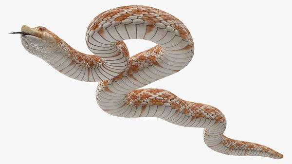 3D model rigged snakes 5 - TurboSquid 1487816
