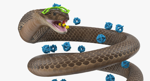 3D model rigged snakes 5 - TurboSquid 1487816