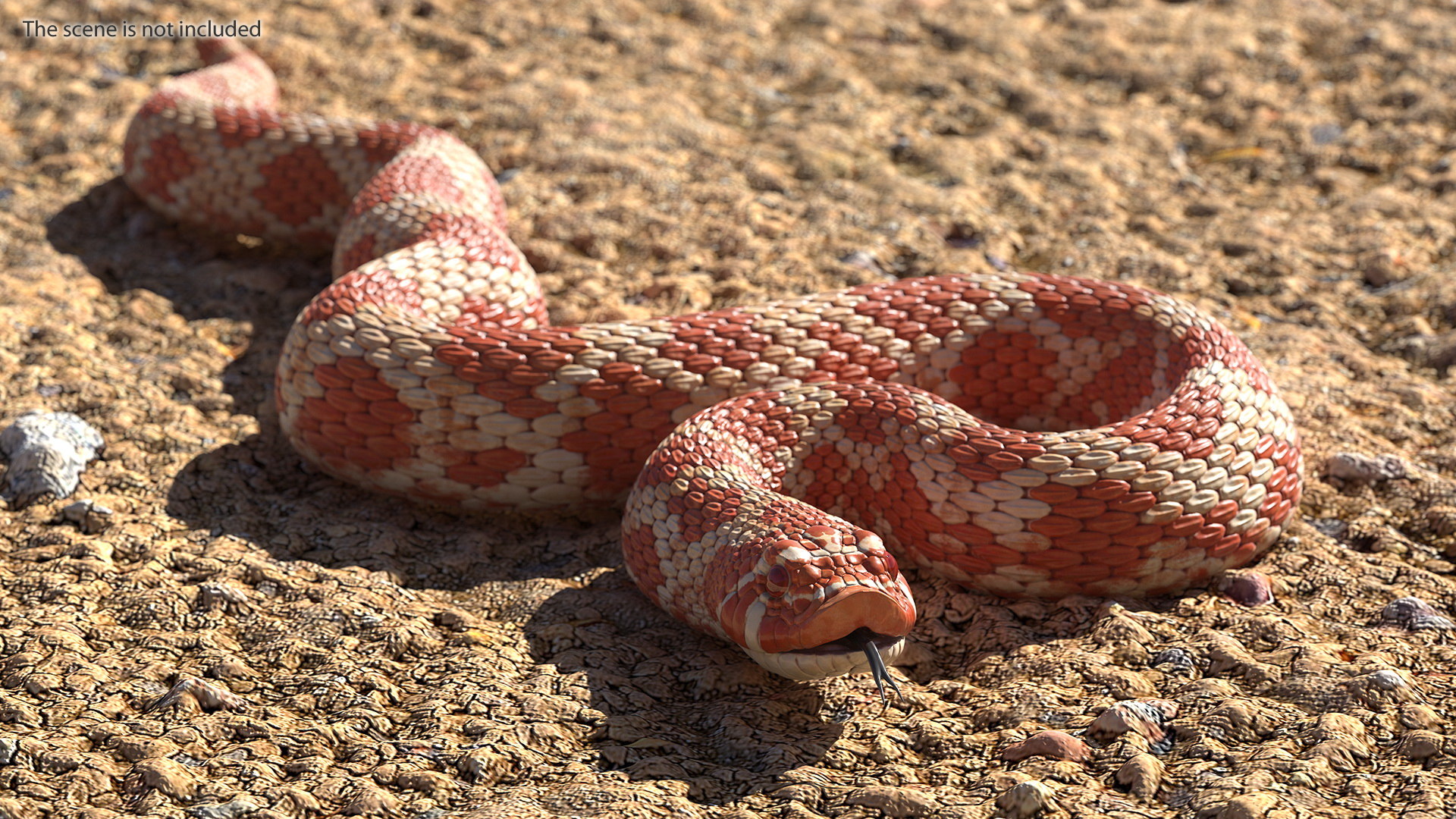 3D coiled red hognose snake model - TurboSquid 1488232