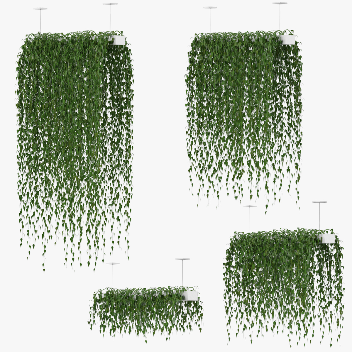 Plants hanging 3D - TurboSquid 1488828