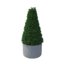Buxus pyramid plant pot 3D - TurboSquid 1489557