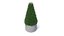 Buxus pyramid plant pot 3D - TurboSquid 1489557