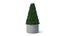 Buxus pyramid plant pot 3D - TurboSquid 1489557