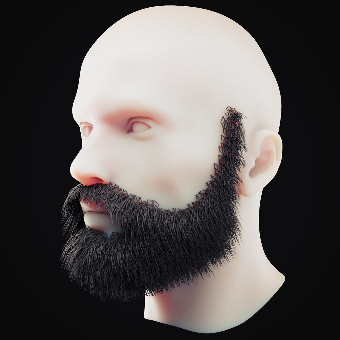 Beard 8 3D model - TurboSquid 1489661