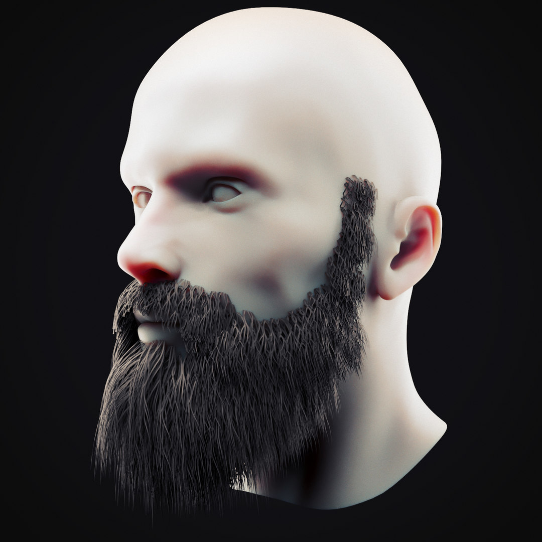 3D beard 10 model - TurboSquid 1489674