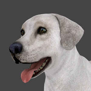 Animated Dog 3D Models for Download | TurboSquid