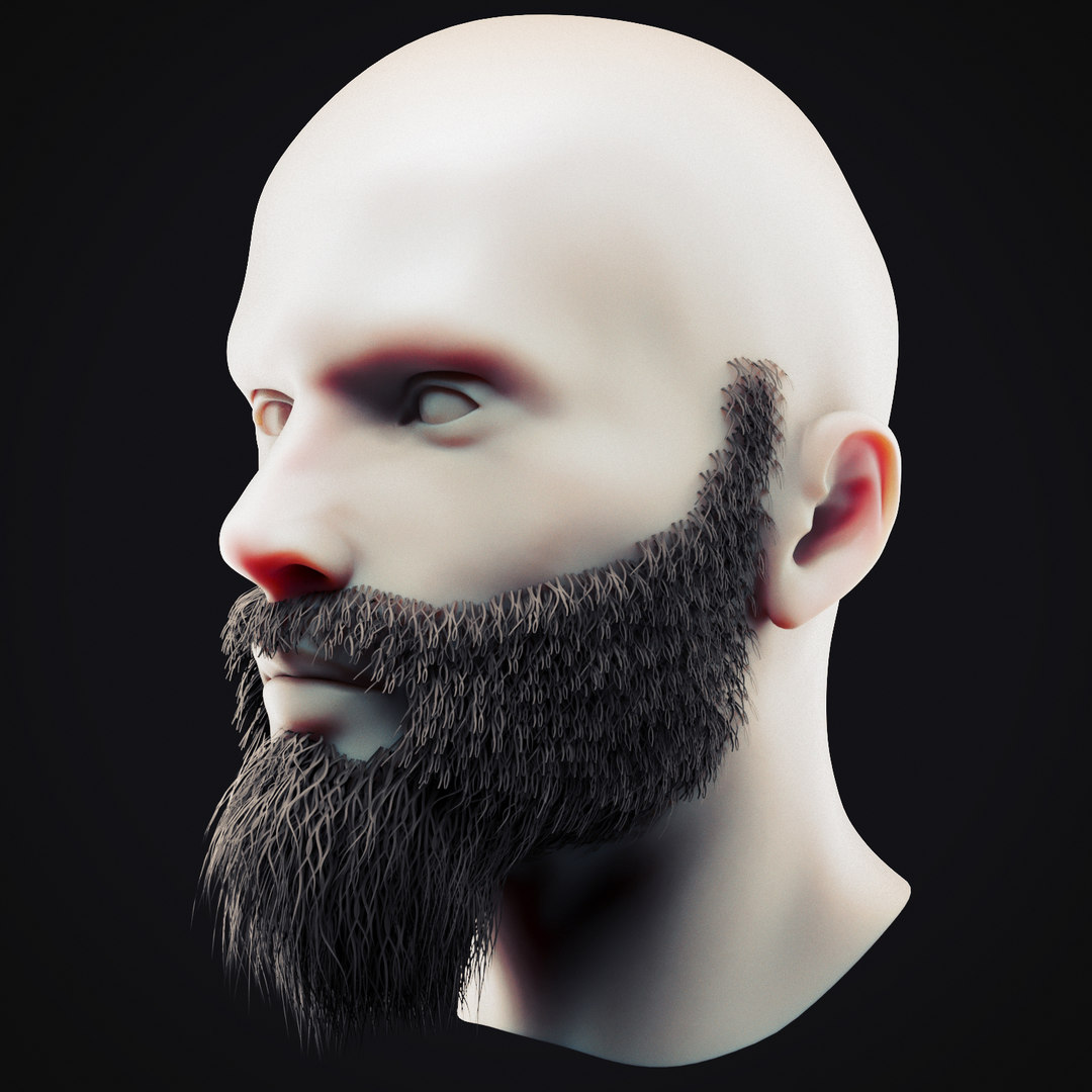 Beard 13 3D model - TurboSquid 1489867