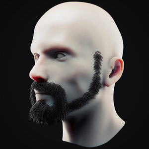 Beard 3D Models for Download | TurboSquid