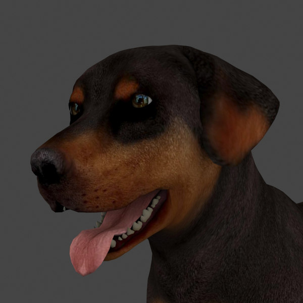 Free Blender Dog Models | TurboSquid