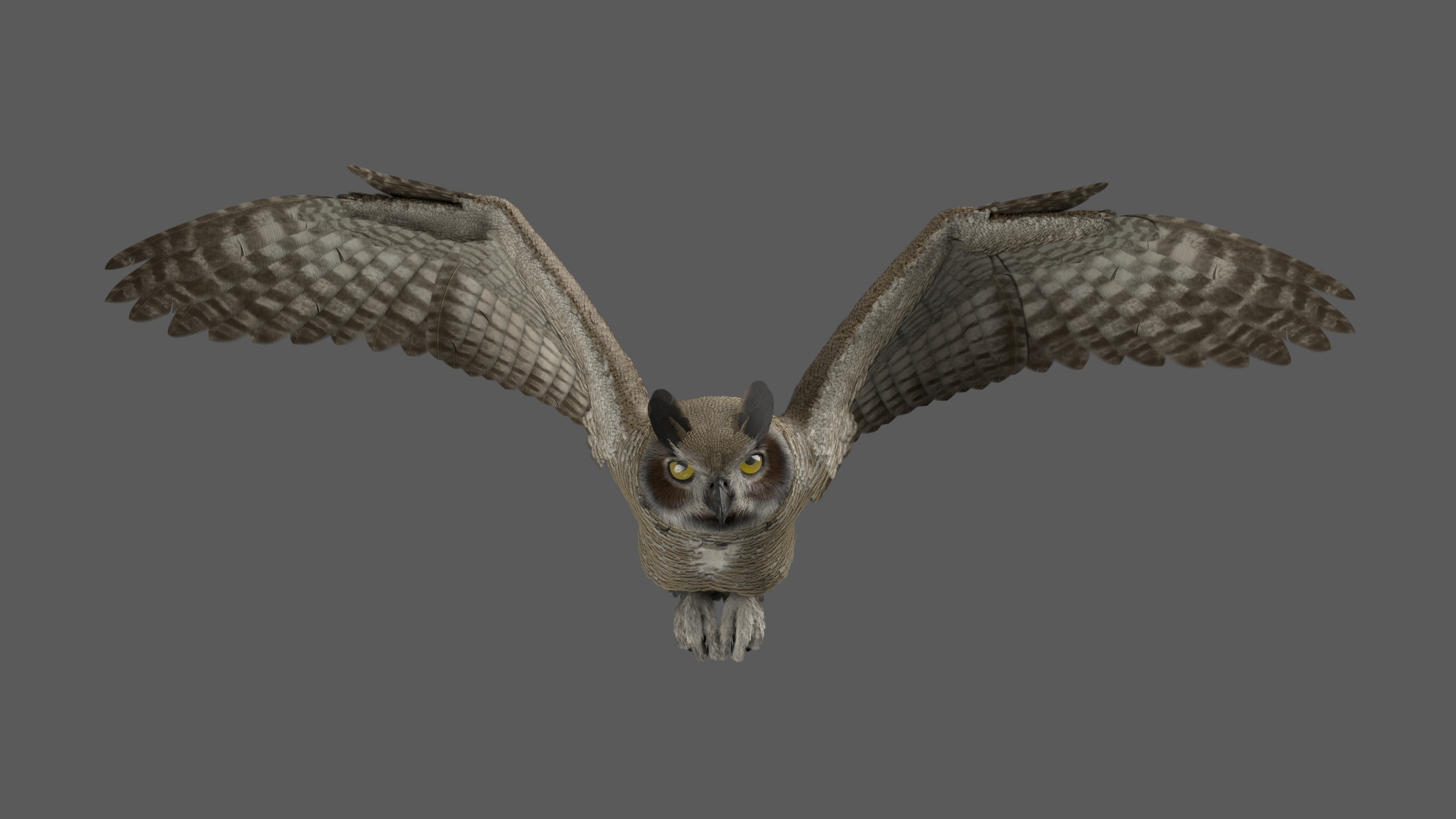 Animowana Wielka Rogata Sowa Model 3D - TurboSquid 1491030