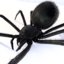 Scary spider 3D model - TurboSquid 1491261