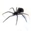 Scary spider 3D model - TurboSquid 1491261