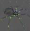 Scary spider 3D model - TurboSquid 1491261