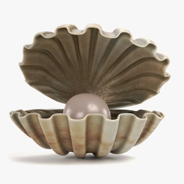 Seashell 3D Models for Download | TurboSquid