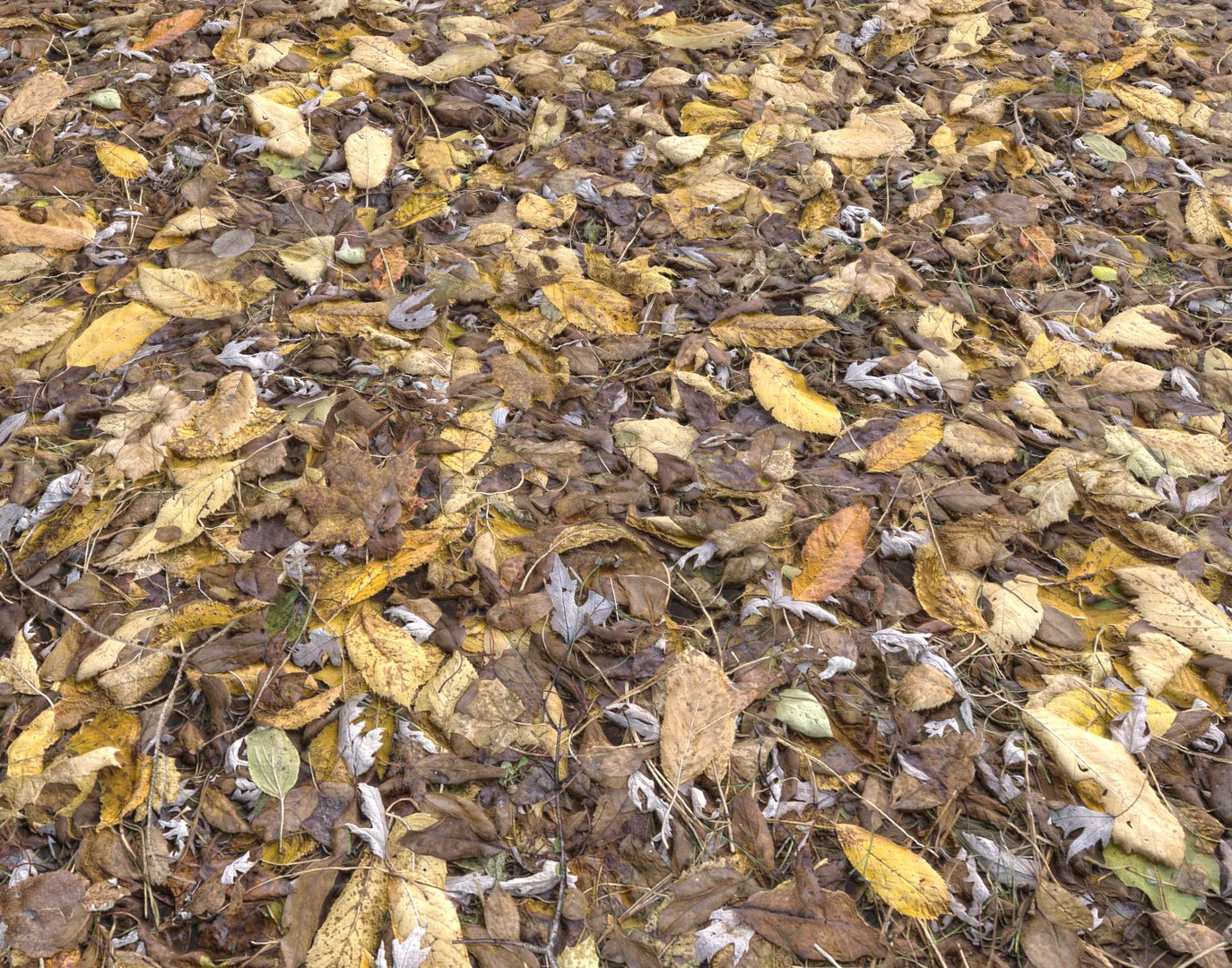 Texture PNG forest terrain landscape