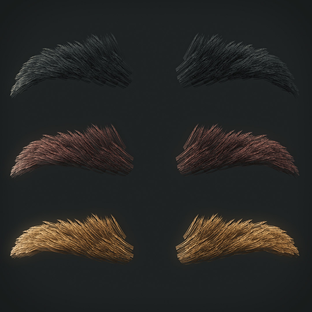 Eyebrows 1 3D model - TurboSquid 1491699