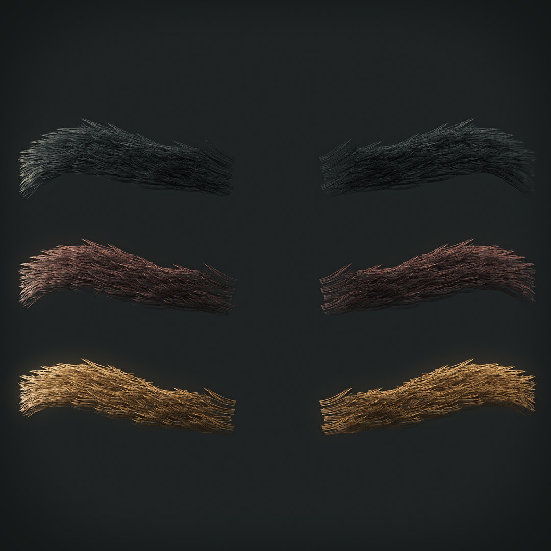 Eyebrows 5 3D - TurboSquid 1491706