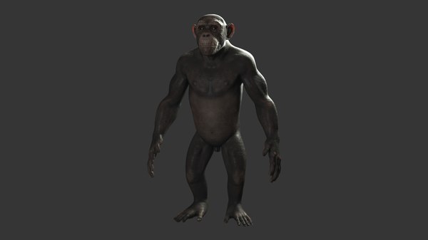 3D chimp skeleton model - TurboSquid 1493050