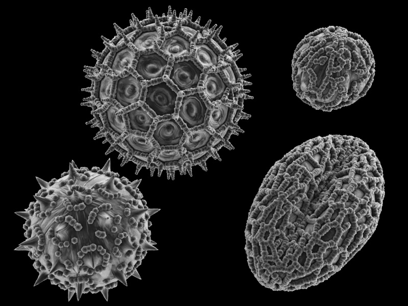 Dust 3D model - TurboSquid 1491746