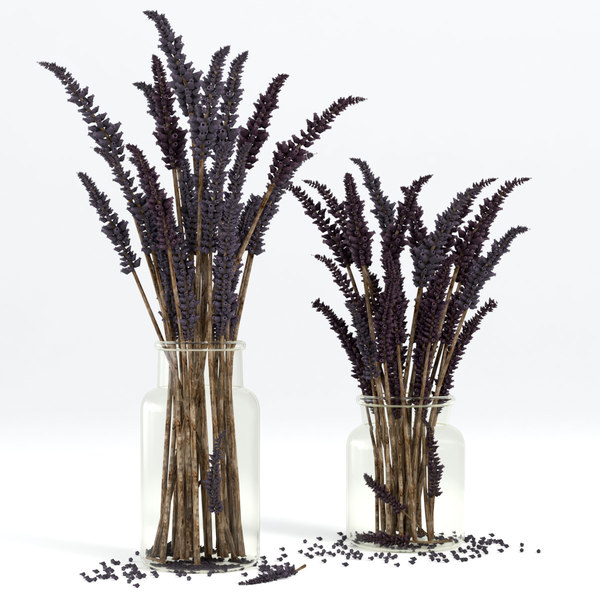 3D Lavender Models | TurboSquid
