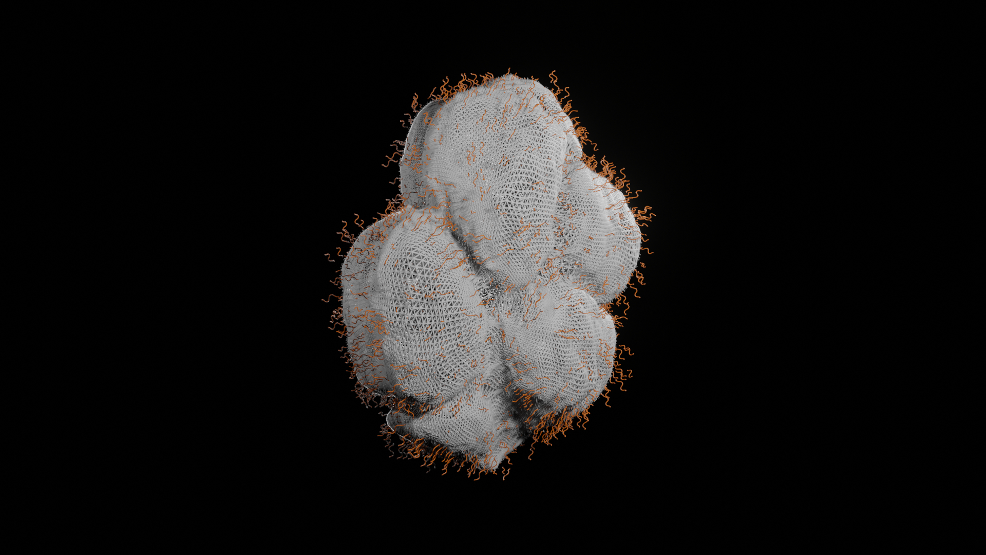 Free 3D weed bud - TurboSquid 1492240