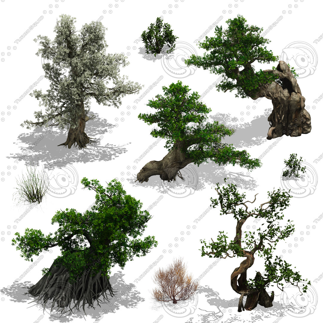 Texture Photoshop tree plant game