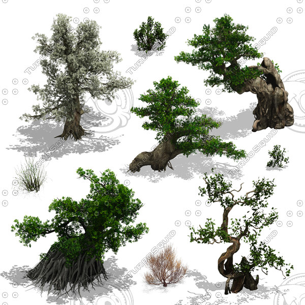 Texture Photoshop tree plant game