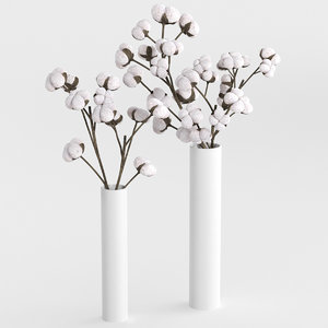 3D Cotton Models | TurboSquid