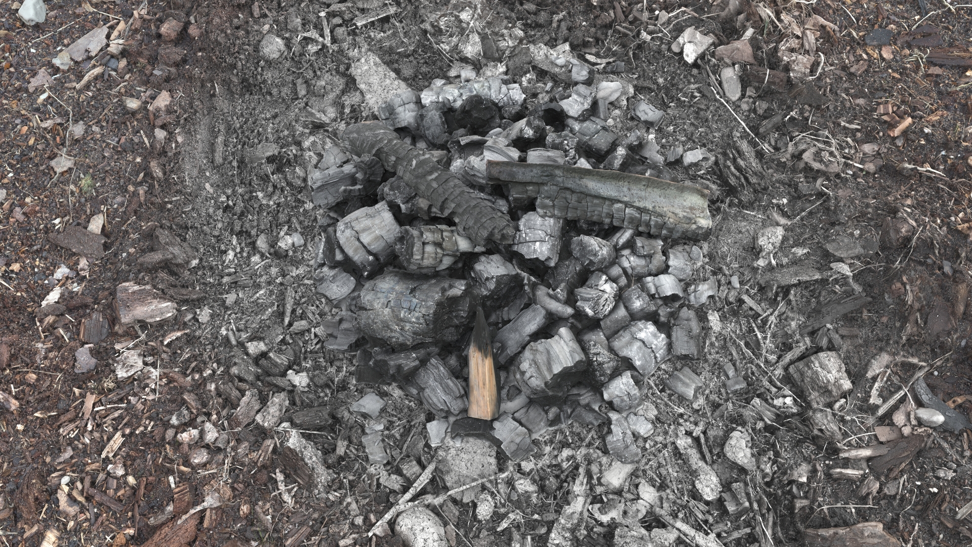 3d modo log burned ashes model