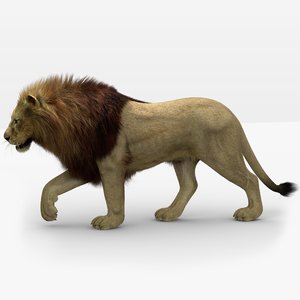Lion 3D Models for Download | TurboSquid