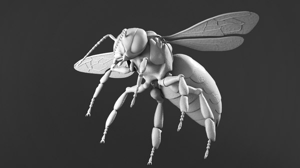 Bee 3D Models for Download | TurboSquid