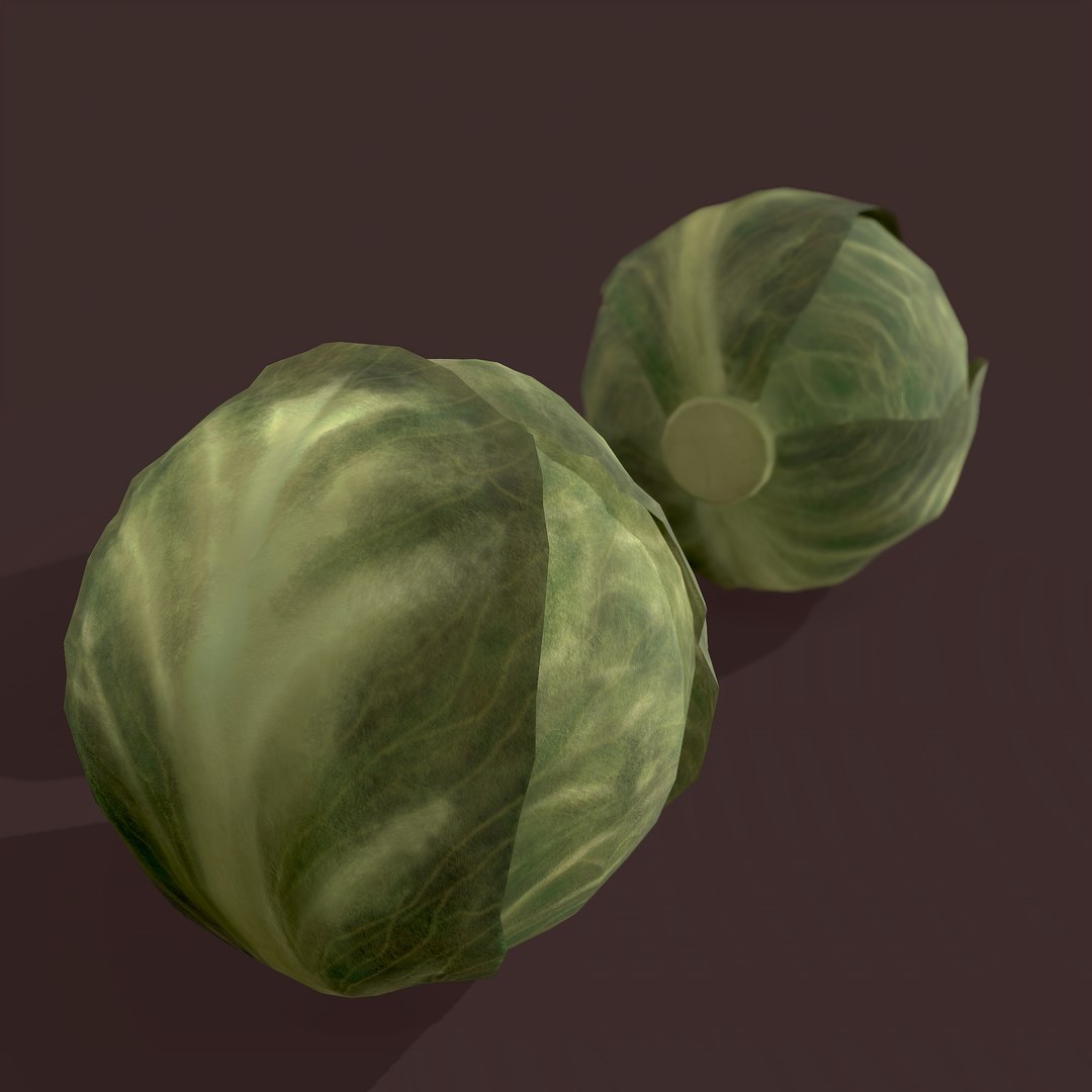 3D cabbage model - TurboSquid 1494427