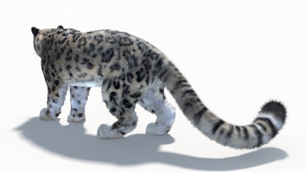 rigged snow leopard animation max