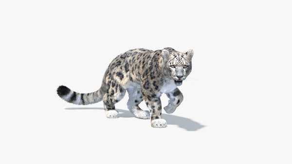 rigged snow leopard animation max
