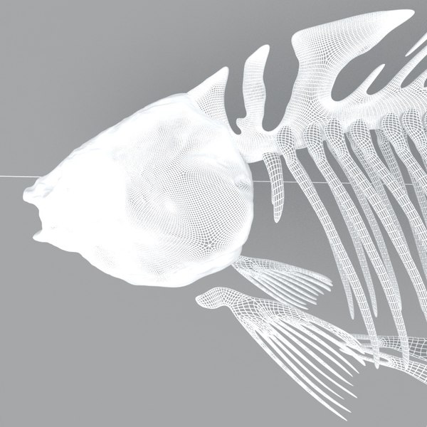 modèle 3D de structure squelette de poisson - TurboSquid 1495658