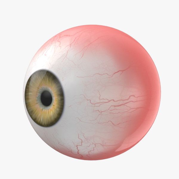 Eyes 3D Models for Download | TurboSquid