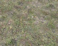 Texture TIFF Grass normal map
