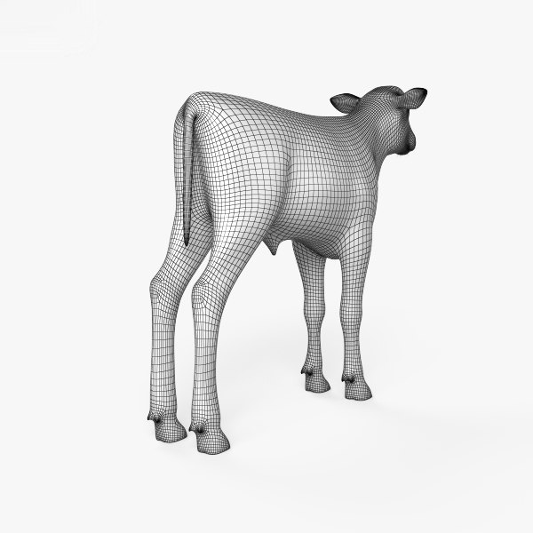 Calf cow cattle 3D model - TurboSquid 1496243