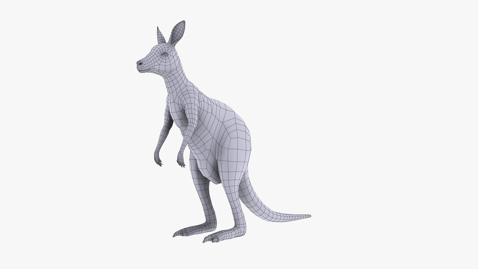 3D kangaroo marsupial animals model - TurboSquid 1496591