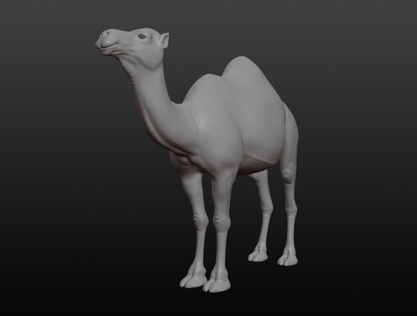 Camel 3D Models for Download | TurboSquid